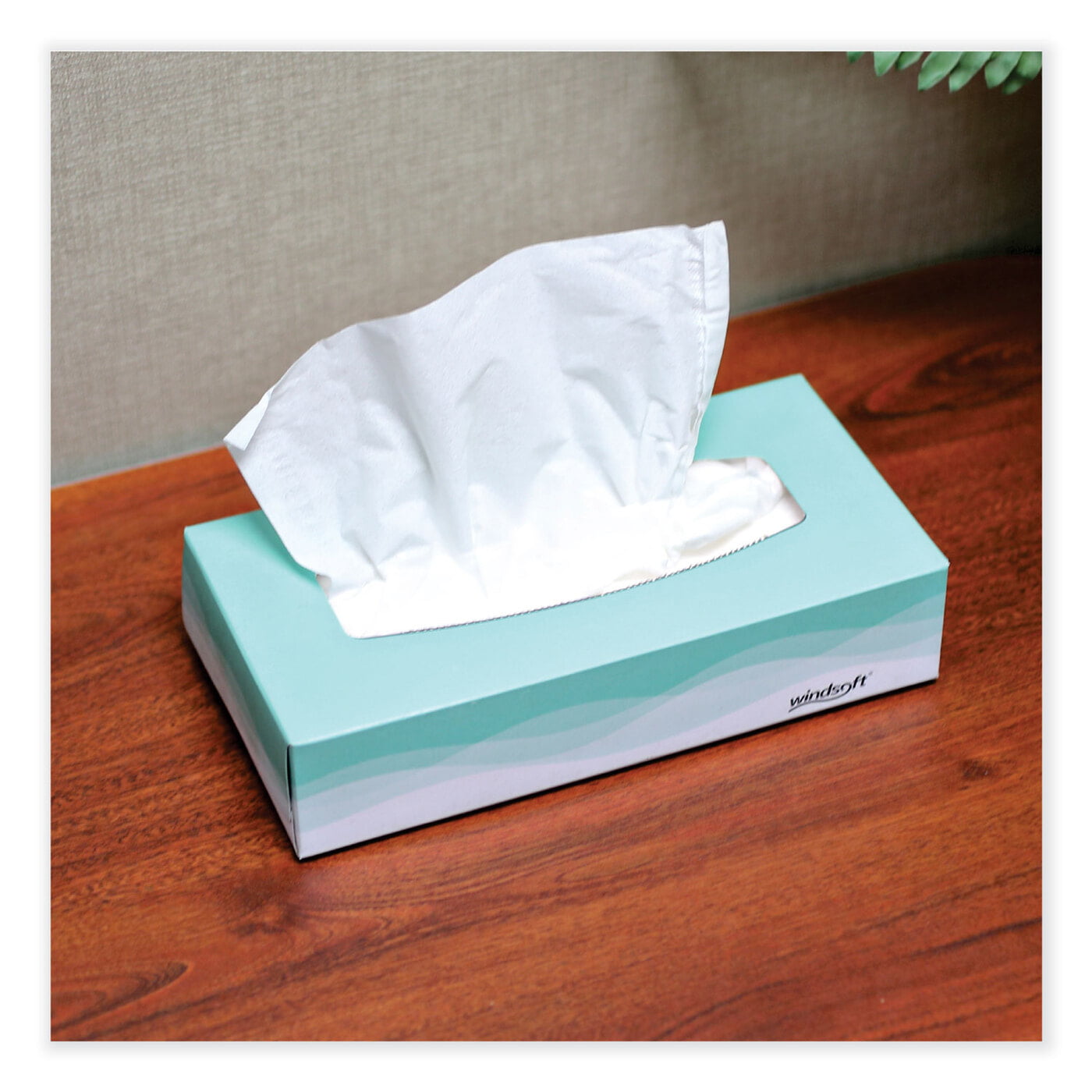 Windsoft Premium Facial Tissue, 2 Ply, White, Flat Pop-Up Box, 100 ...